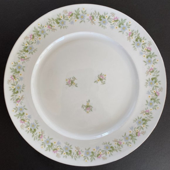 Johann Haviland | Dining | Johann Haviland Forever Spring Pattern China ...